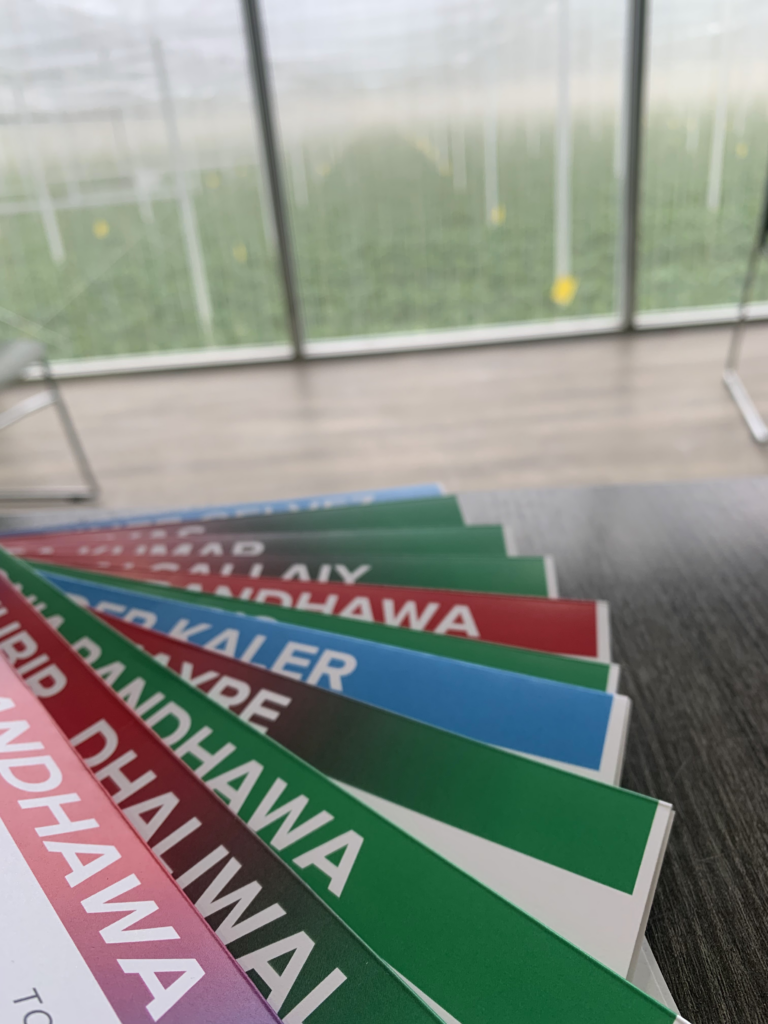 Core Strengths: Understanding the SDI (Strength Deployment Inventory ...